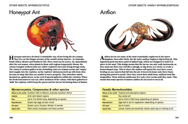 Bugs and Mini Monsters: Mini Encyclopedia - Amber Books