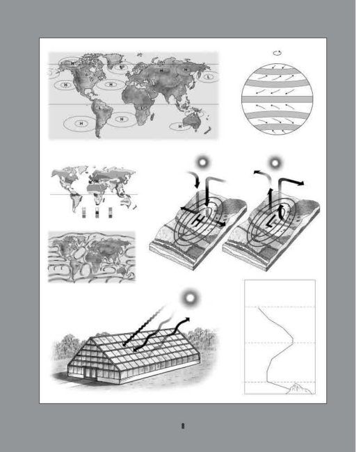 Surviving Extreme Weather - Amber Books