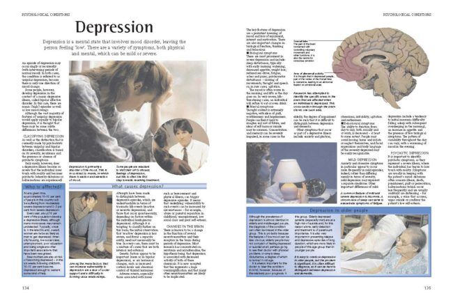 How the Brain Works - Amber Books