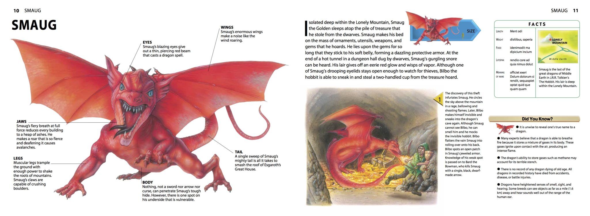 Dragons & Mythical Creatures - Amber Books