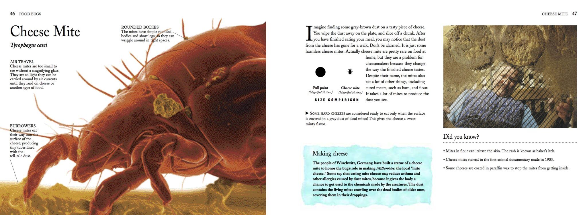 Micro Monsters - Amber Books