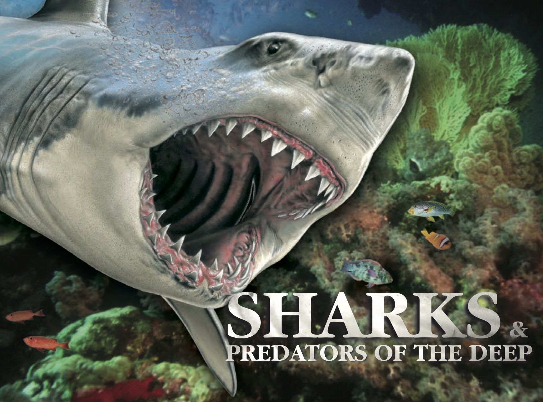 Sharks & Predators of the Deep - Amber Books