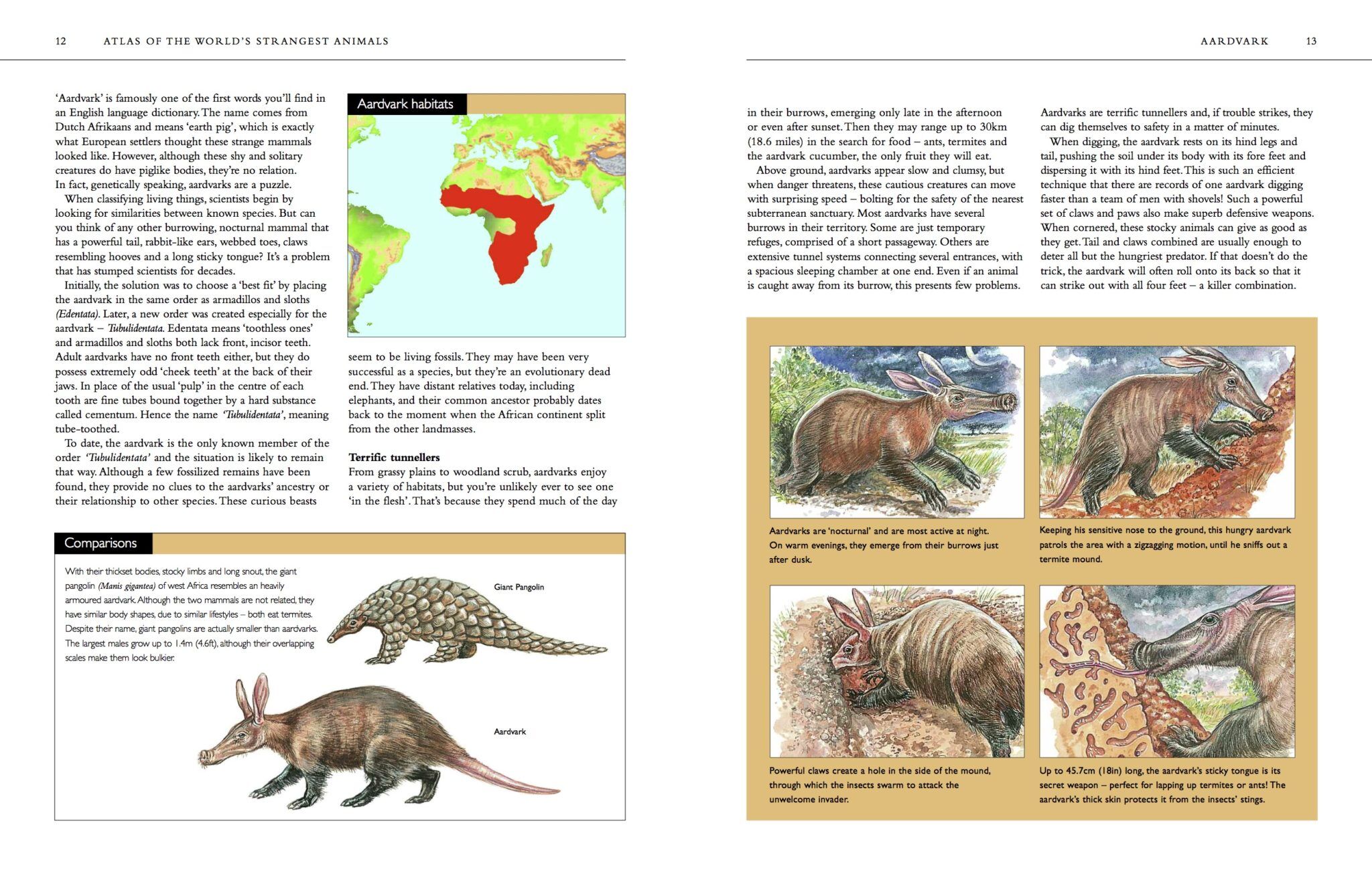 Atlas of the World's Strangest Animals - Amber Books