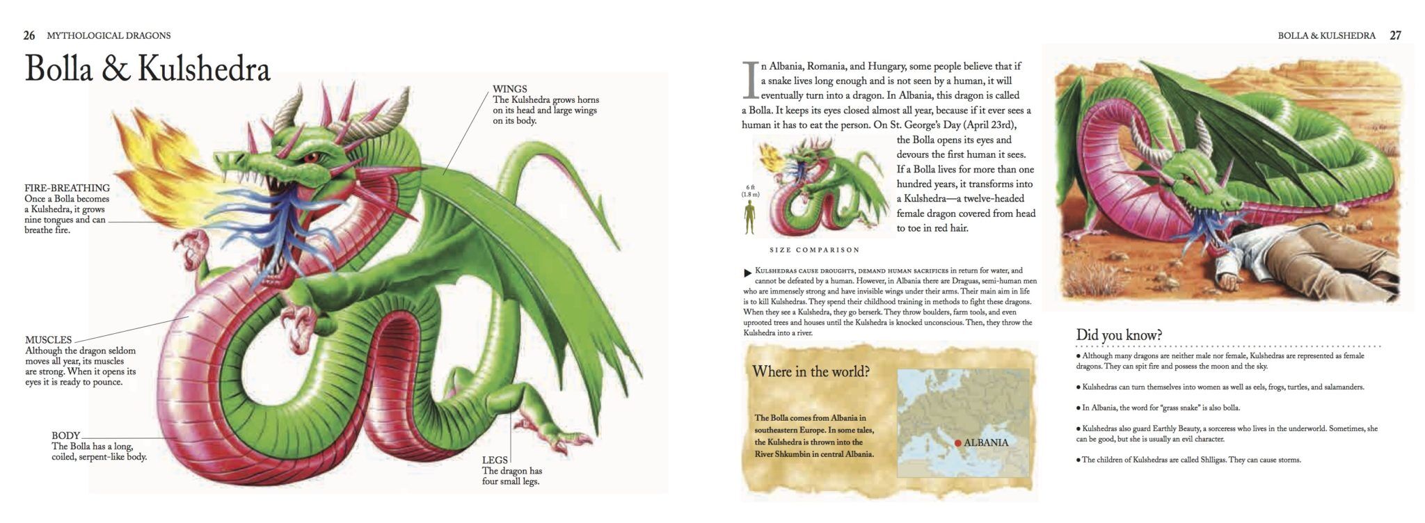 Dragons [96pp] by Gerrie McCall and Chris McNab - Amber Books