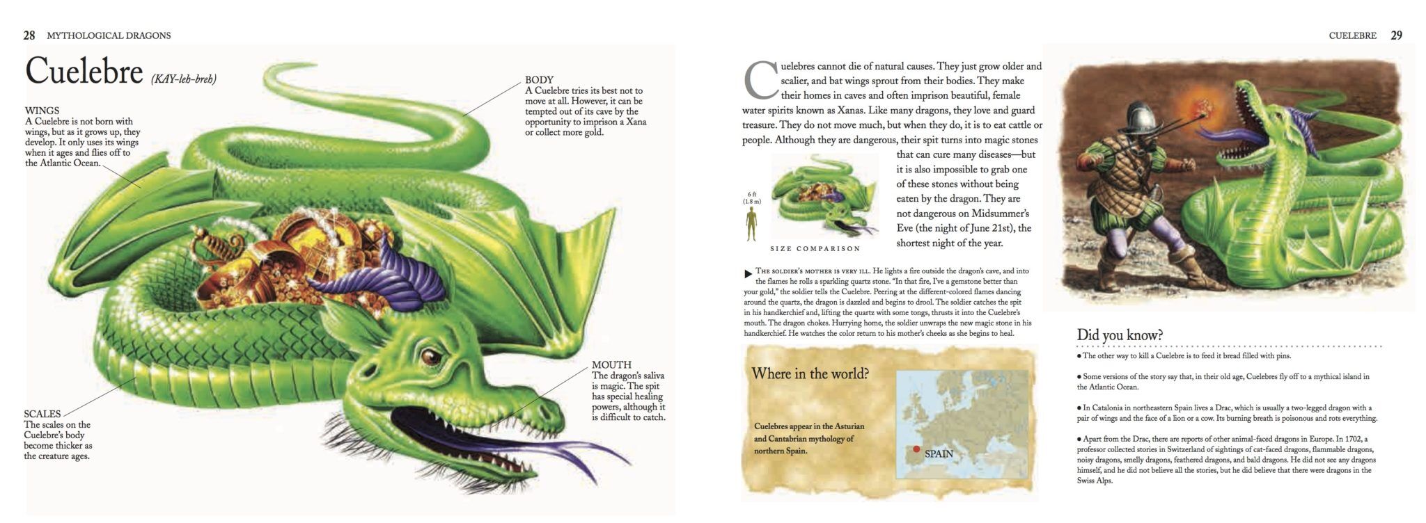 Dragons [96pp] by Gerrie McCall and Chris McNab - Amber Books