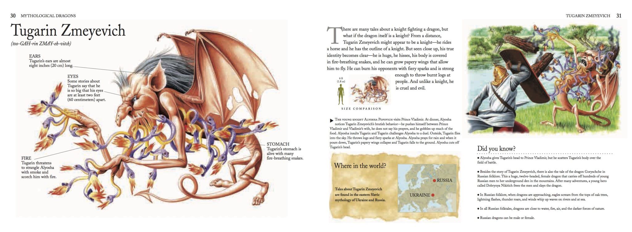 Dragons [96pp] by Gerrie McCall and Chris McNab - Amber Books