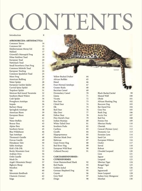 Animals [Illustrated Encyclopedia] by David Alderton - Amber Books