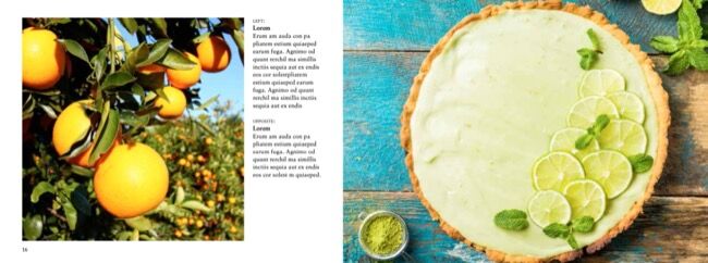 Florida: Visual Explorer Guide by John Crippen - Amber Books