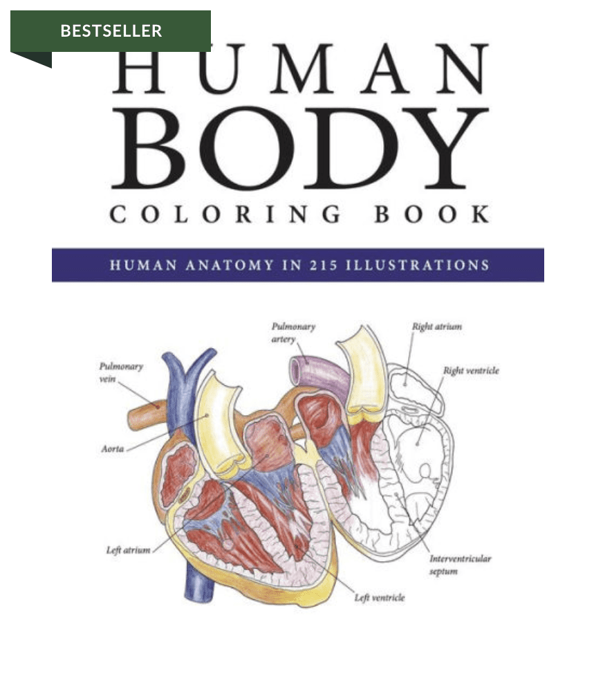 Human Body Colouring Book - Amber Books