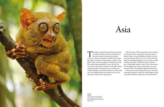 Strange Animals [in photographs] by Tom Jackson - Amber Books