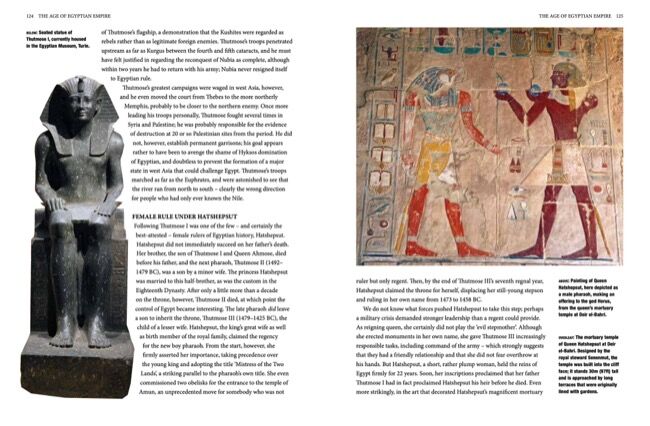 Pharaohs [Illustrated history] by Phyllis Jestice - Amber Books