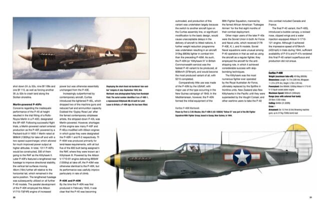 American Fighter Aircraft of World War II: Technical Guide [128pp ...