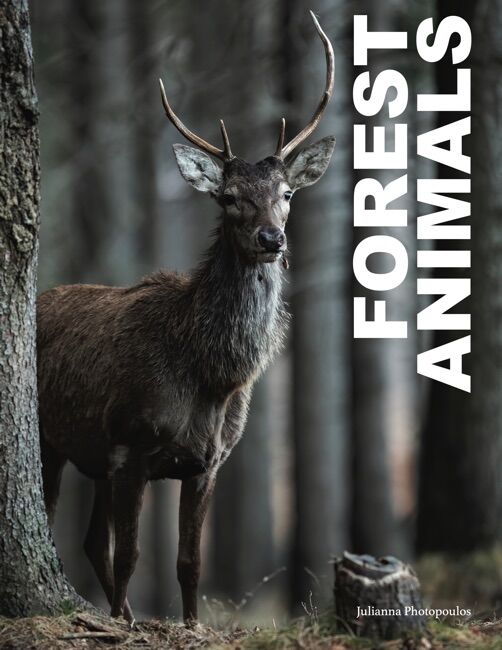 Amber Books Ltd - Illustrated history, military, gift & reference books