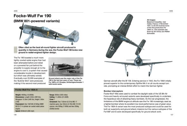 Fighter Aircraft of World War II [mini edition] by Edward Ward - Amber ...